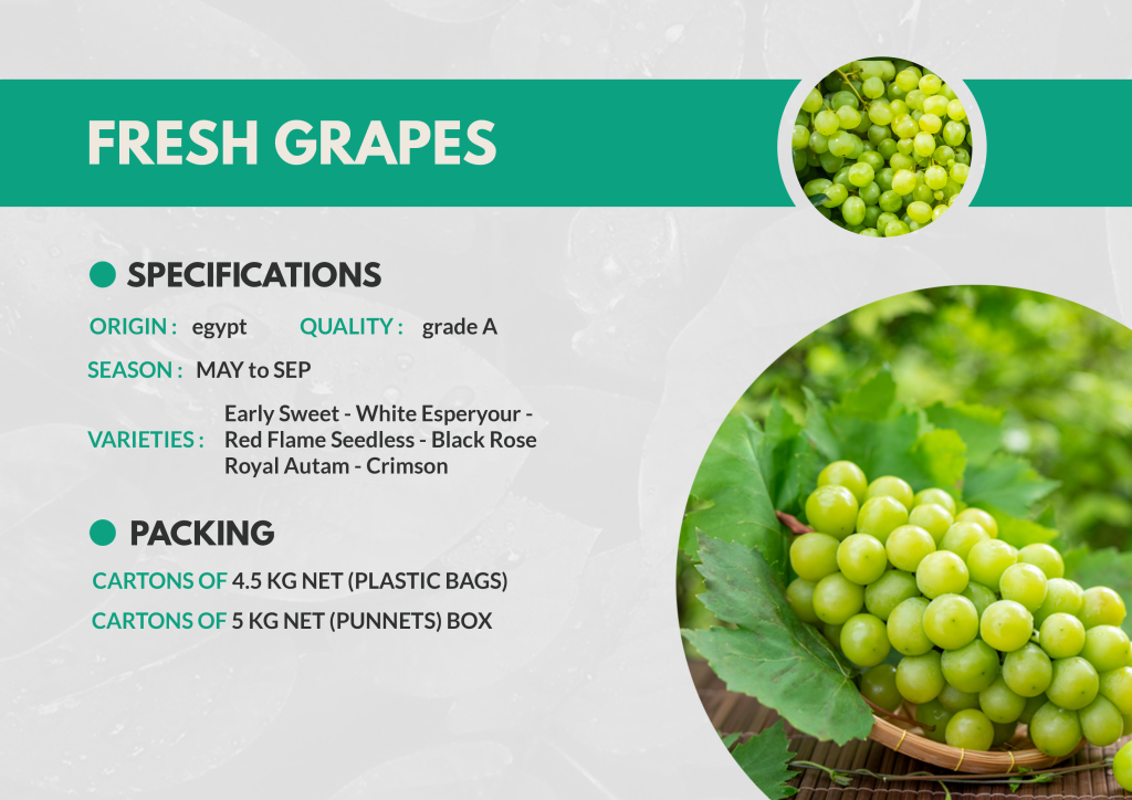 Grapes - EGY FARM
