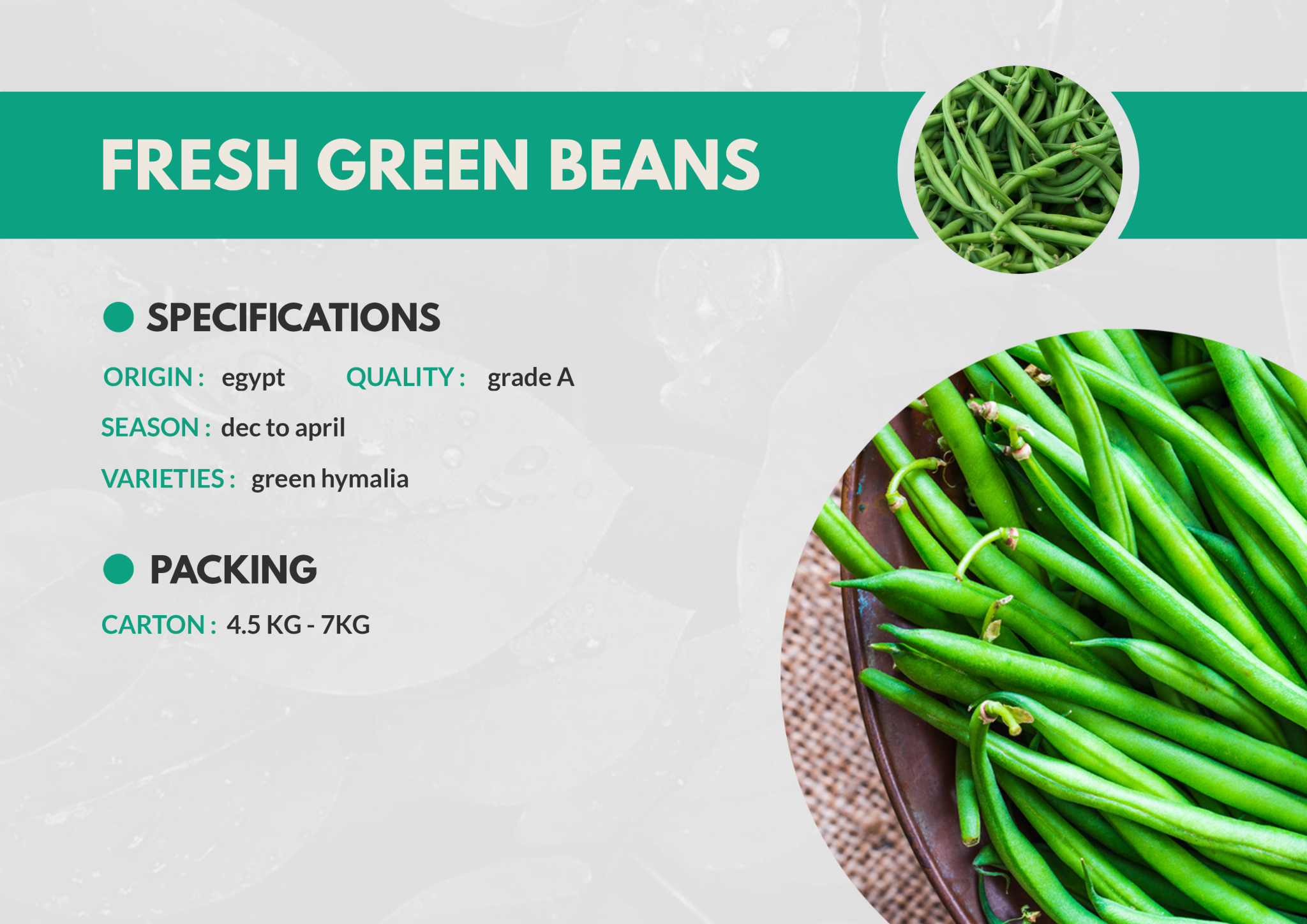 Green Beans - EGY FARM