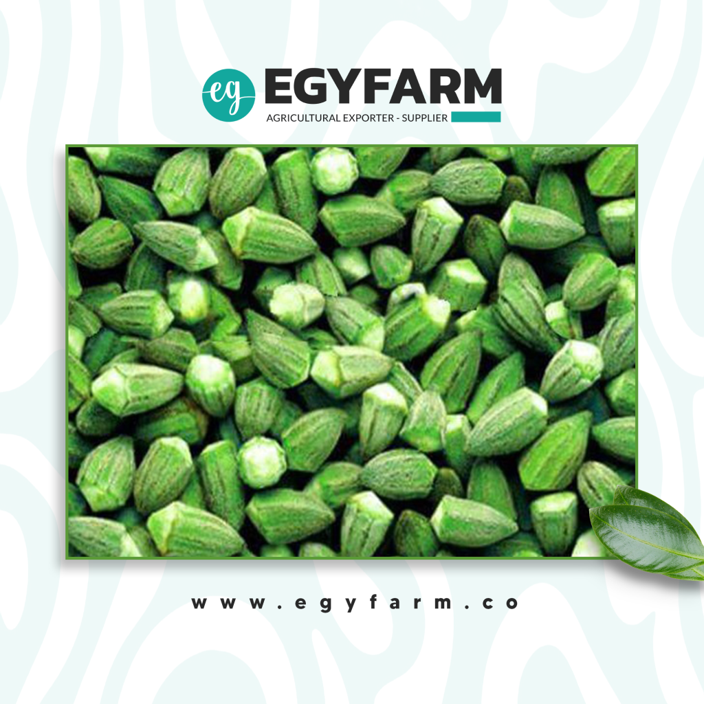 Okra - EGY FARM