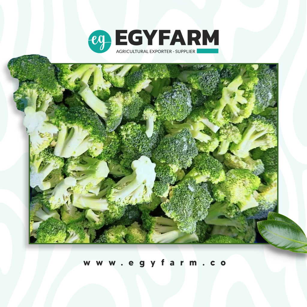 Broccoli - EGY FARM